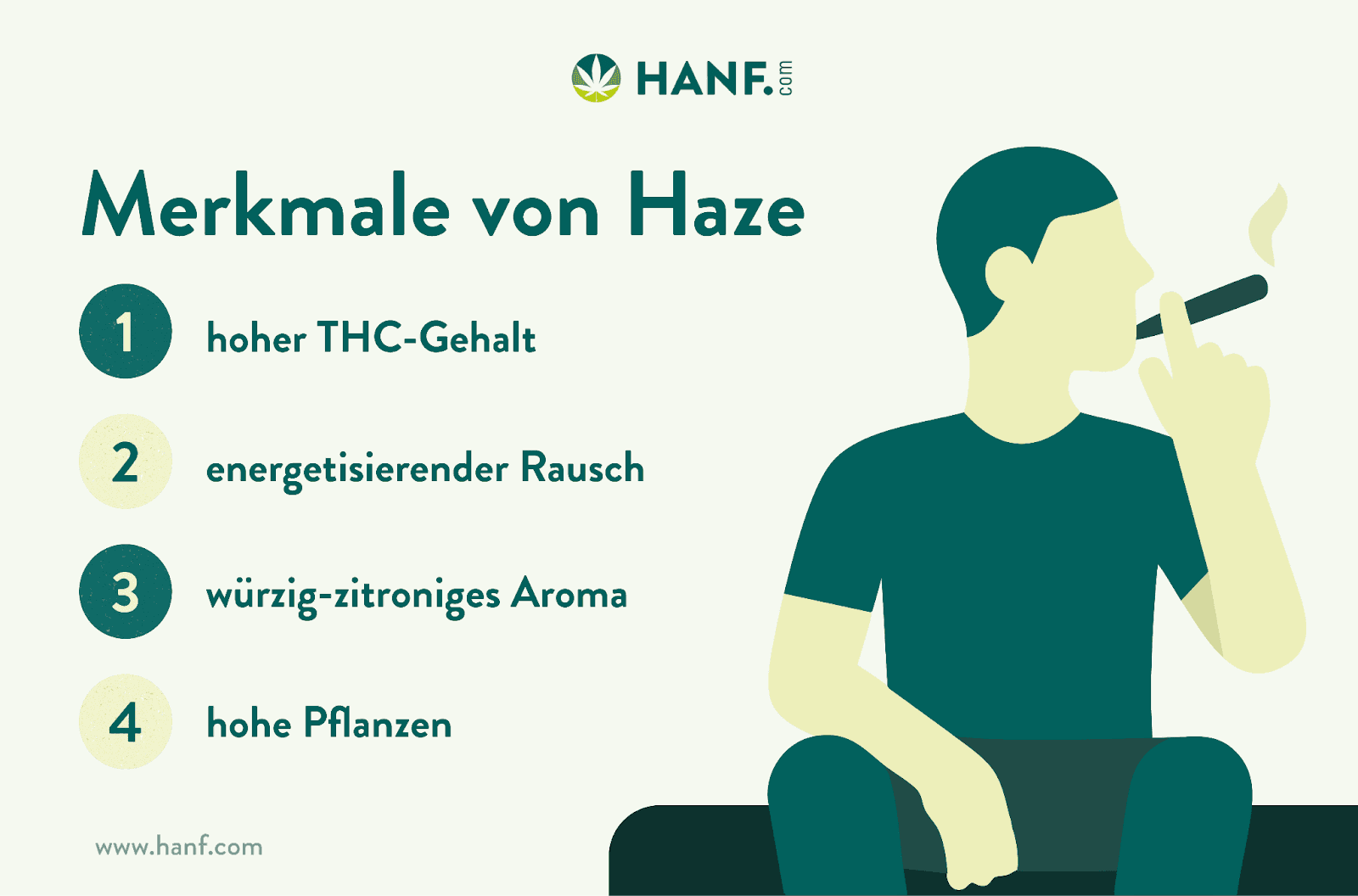 Was ist Haze? Definition, Geschichte, Wirkung