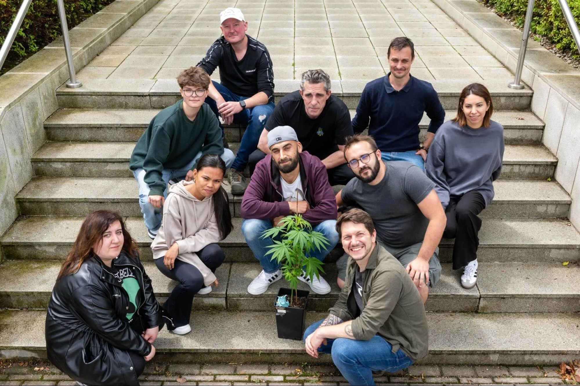 Willkommen bei HANF.com - hier erfährst du alles über uns!